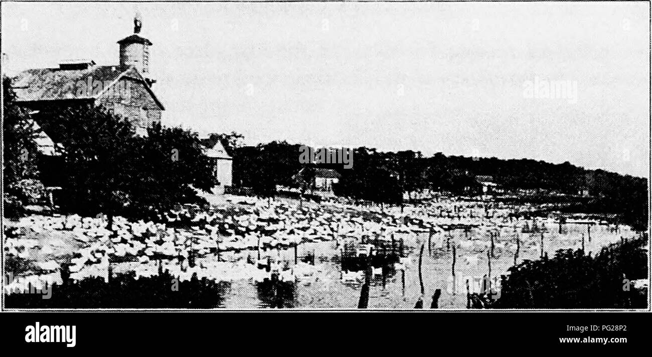 This book provides an overview of poultry farming practices, including ...