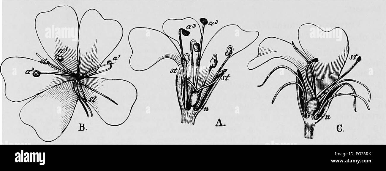 This handbook discusses the role of insects in flower pollination ...