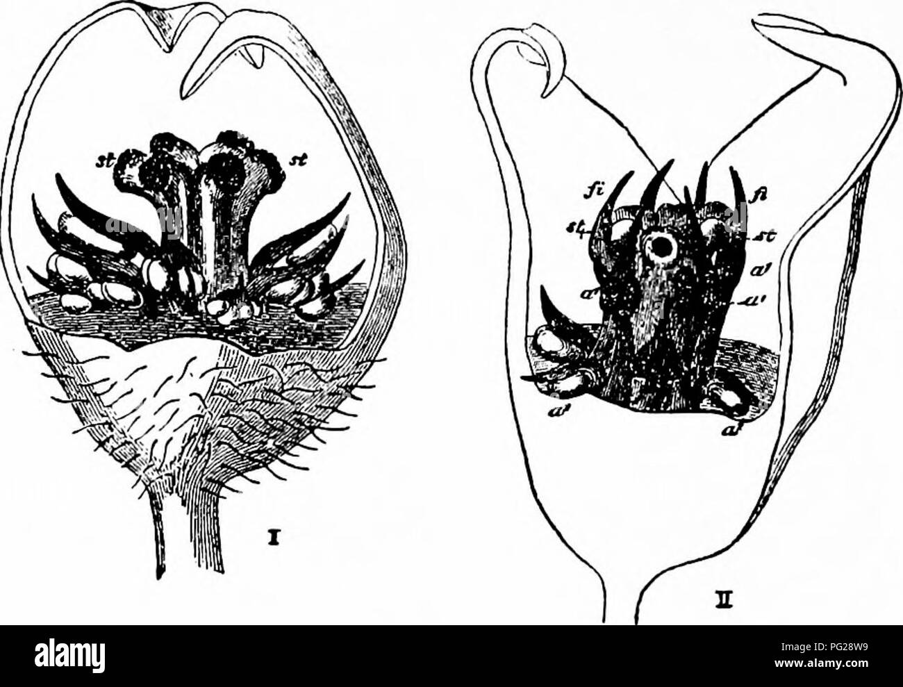 This handbook provides a comprehensive guide to flower pollination ...