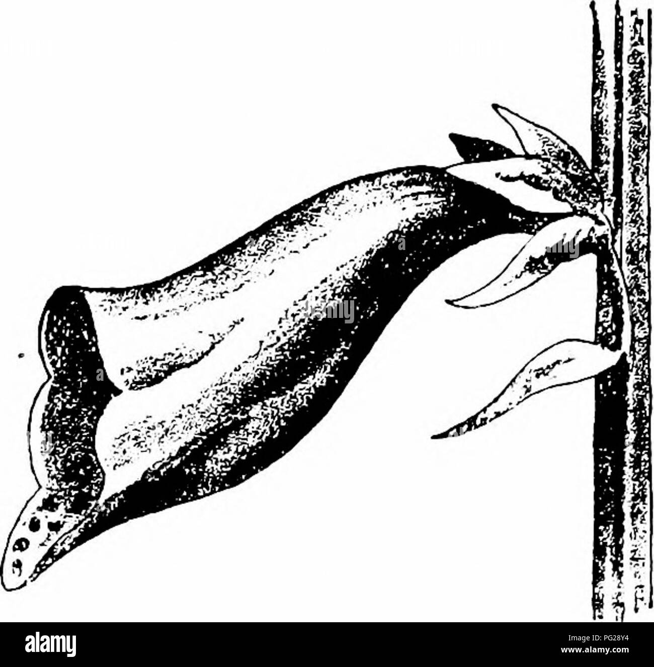 This handbook is based on Hermann Müller's seminal work on the ...