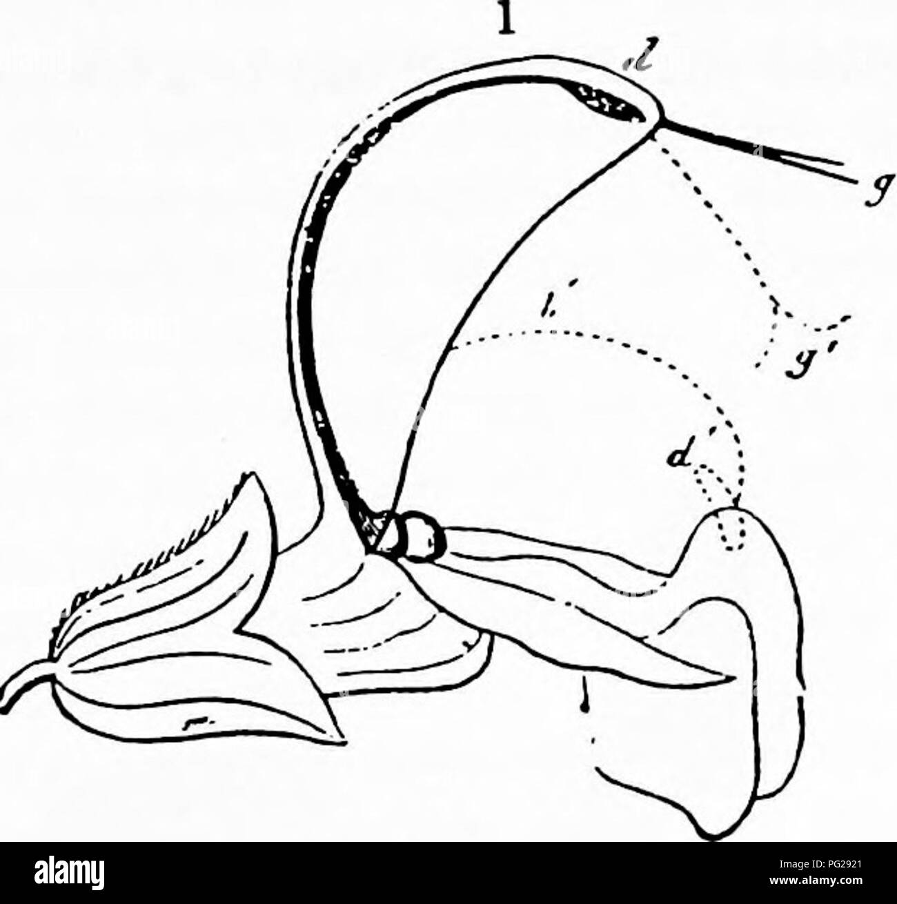 Mastru Cut Out Stock Images & Pictures - Alamy