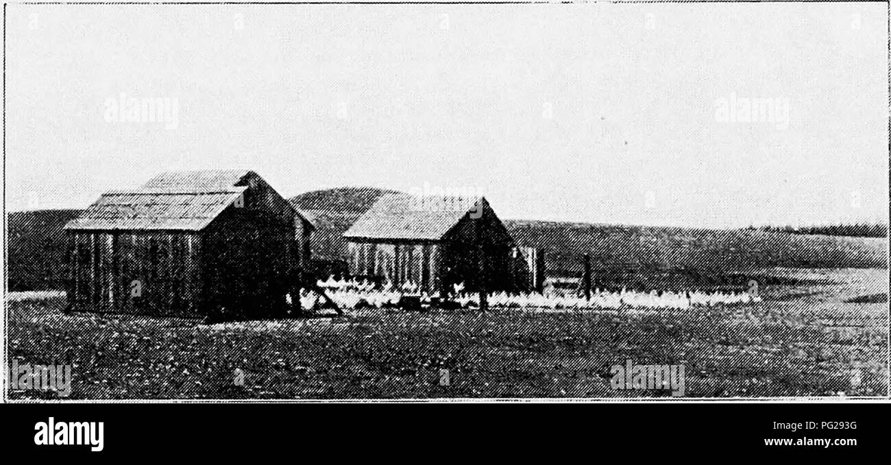 This image depicts a poultry farm housing a colony of 500 White Leghorn ...