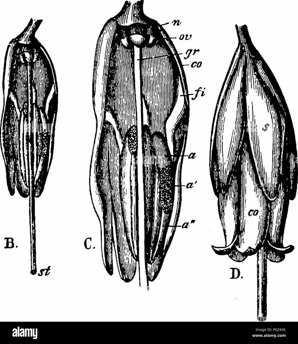 . Handbook of flower pollination : based upon Hermann Mu?ller's work ...