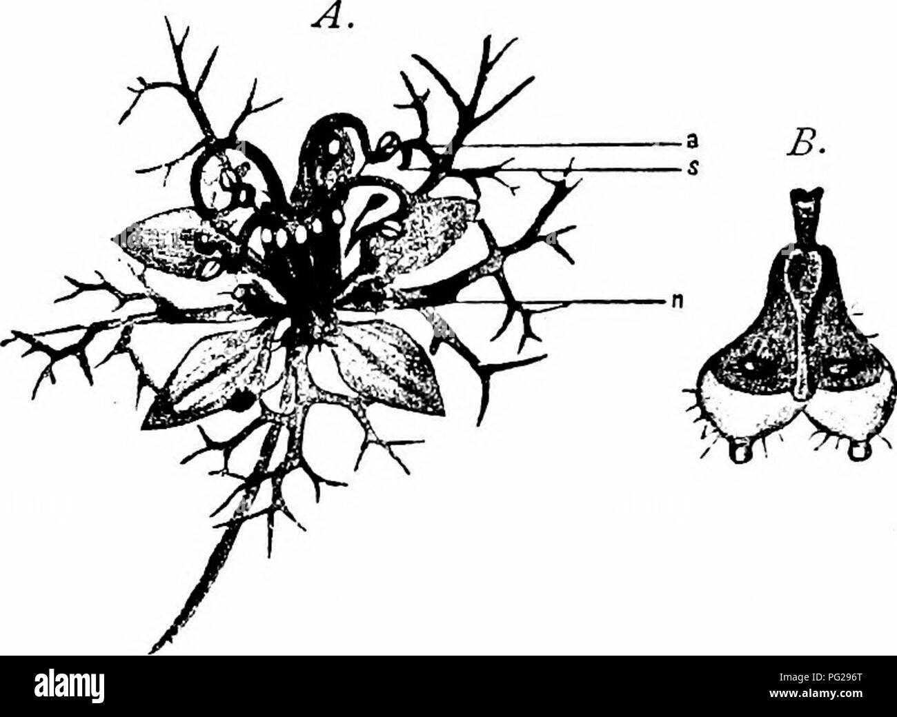 . Handbook of flower pollination : based upon Hermann Mu?ller's work ...