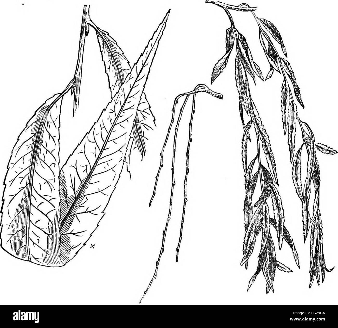 Angular points hi-res stock photography and images - Alamy