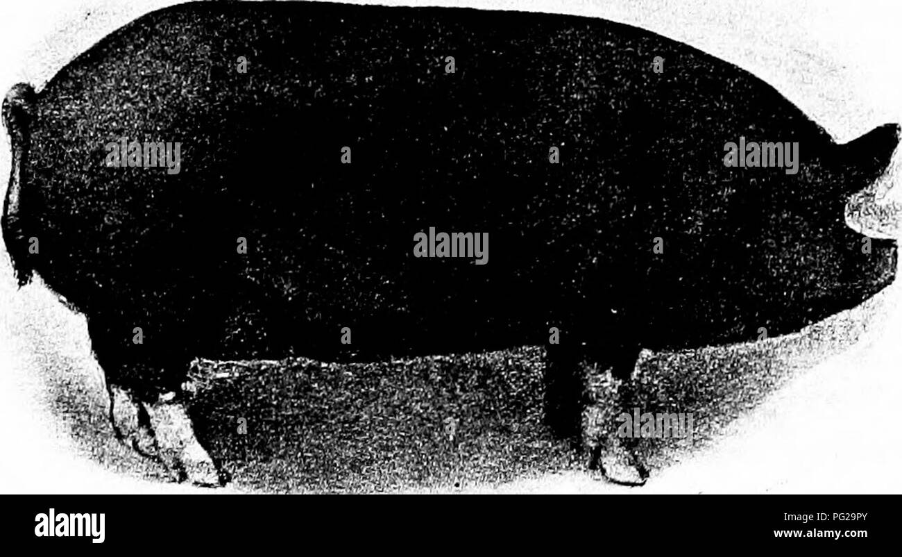 224 years old hi-res stock photography and images - Alamy