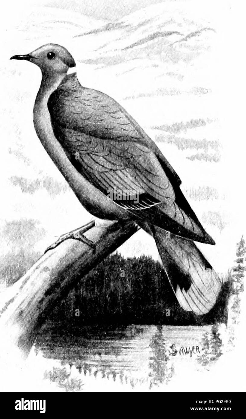 Sylvania 300 hi-res stock photography and images - Alamy