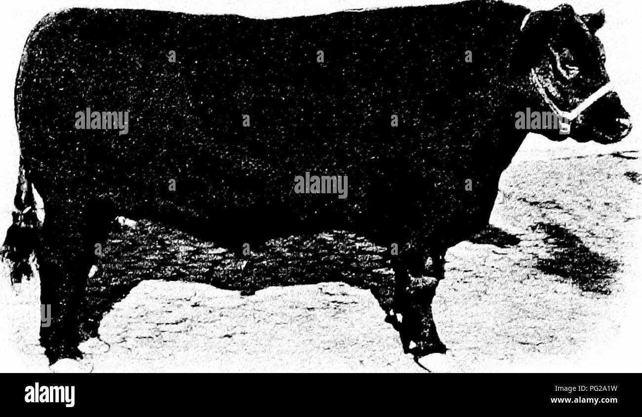 This work covers the various breeds of farm animals, with a particular ...