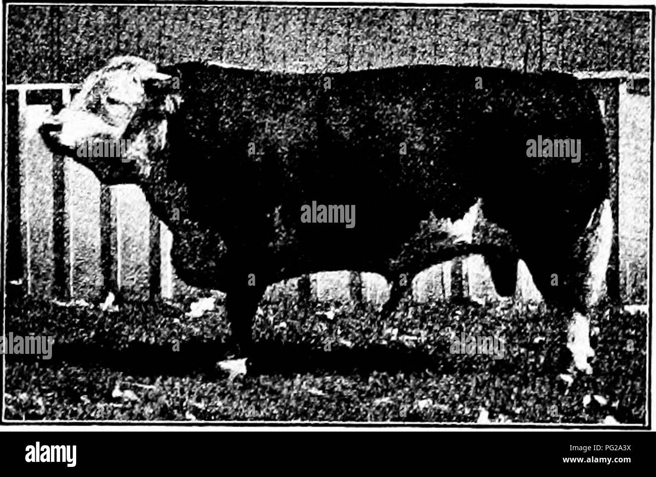 A comprehensive catalog detailing various breeds of livestock, with a ...