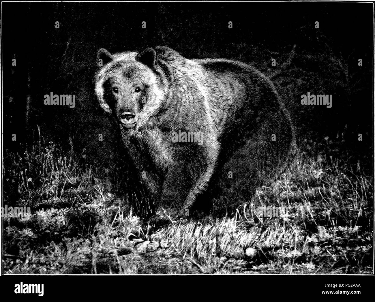 Six specimens hi-res stock photography and images - Alamy