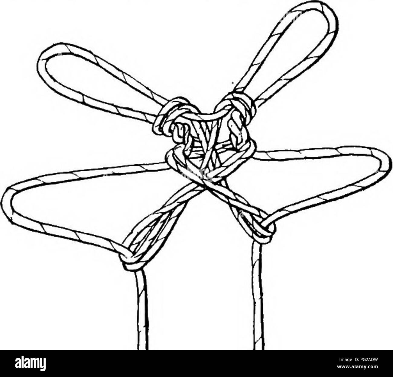 . Report of the Canadian Arctic Expedition 1913-18. Scientific ...