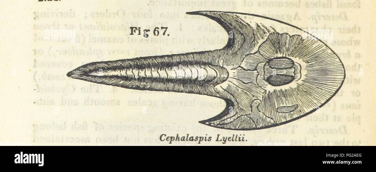 Image from page 142 of 'Elementary Geology' Stock Photo - Alamy
