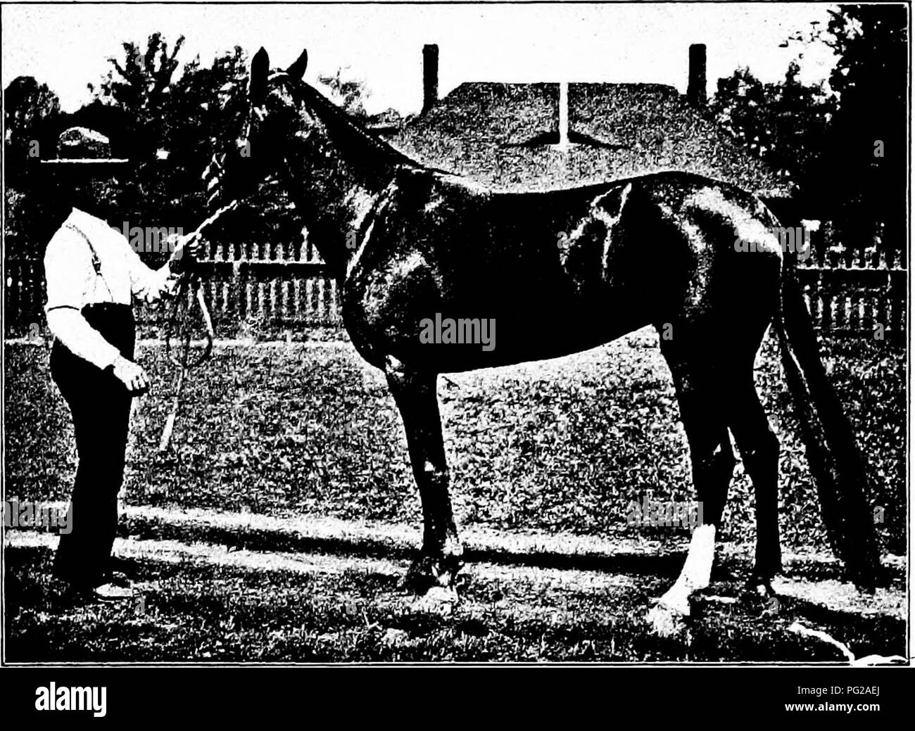 This text provides detailed information on various types and breeds of ...