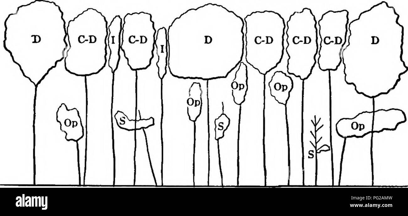 This work outlines the principles and practices of silviculture, with a ...