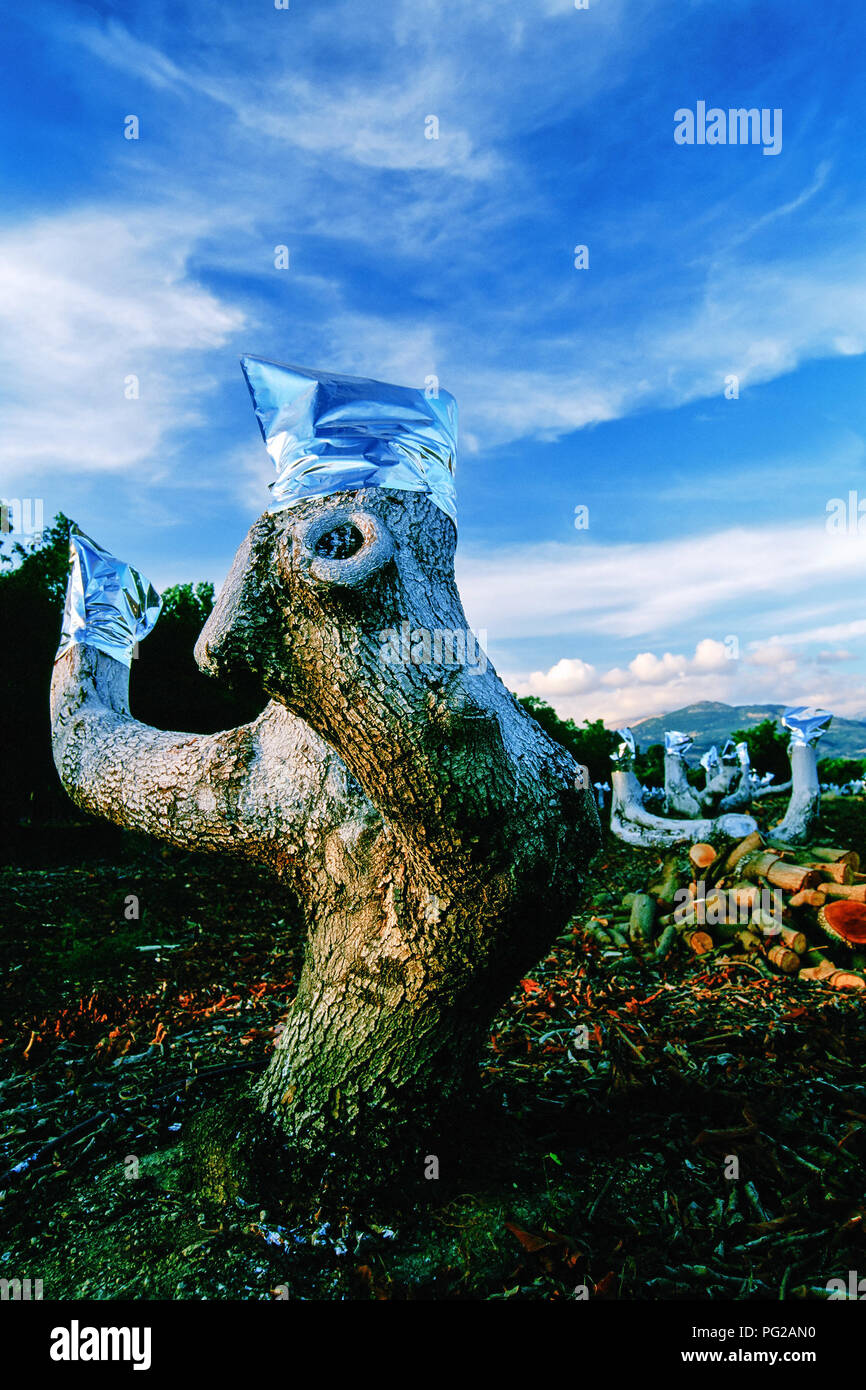 The Magical Land Stock Photo - Alamy