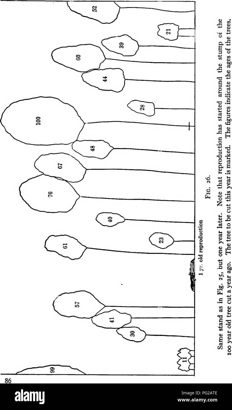 This book focuses on the principles of silviculture, particularly in ...