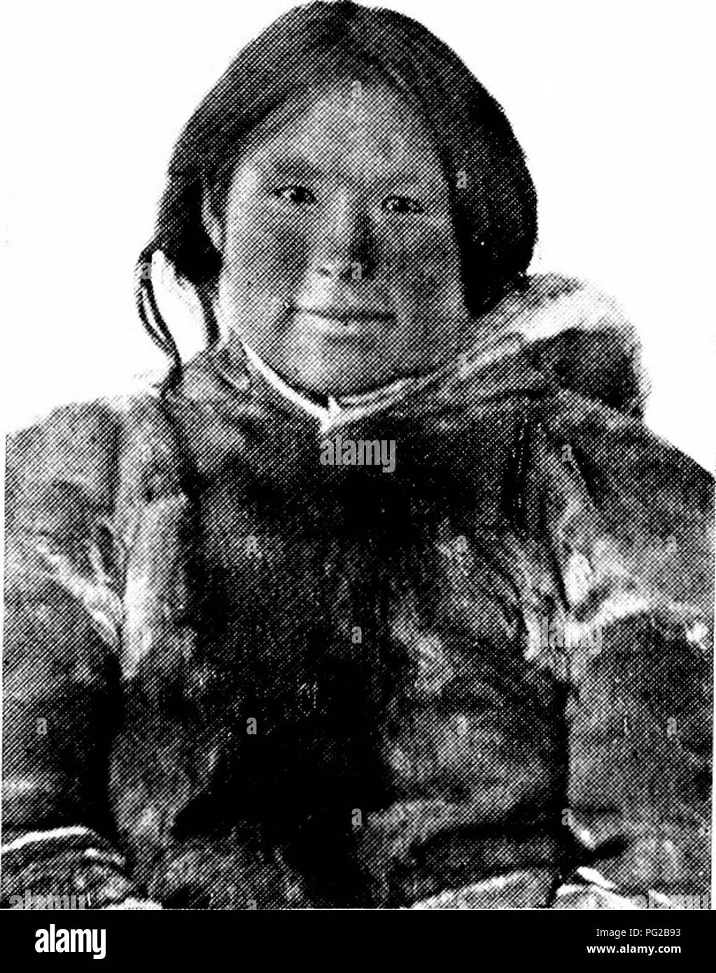 This plate from the Canadian Arctic Expedition (1913-1918) presents ...