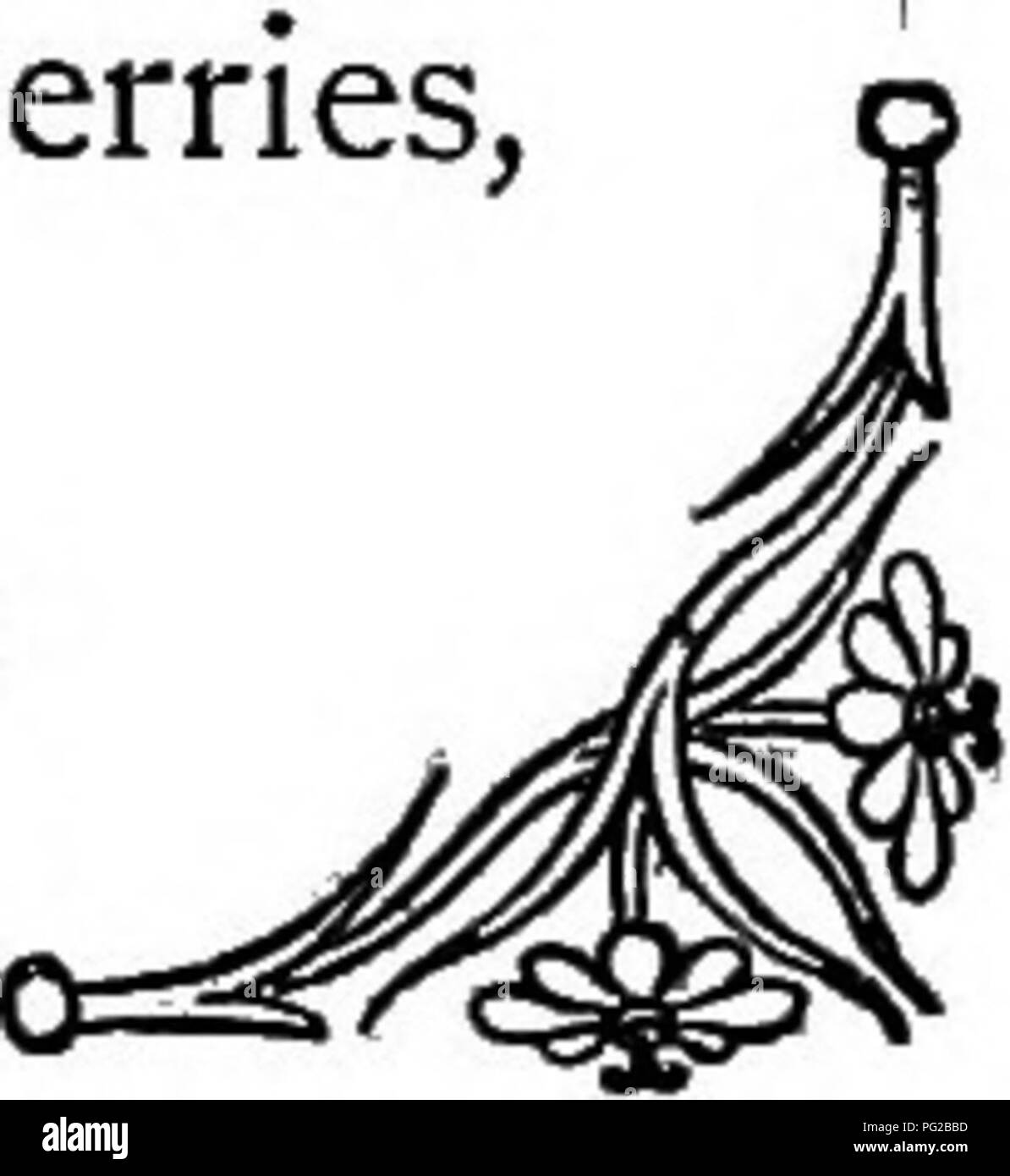 This book explores the symbolism of flowers and their meanings ...