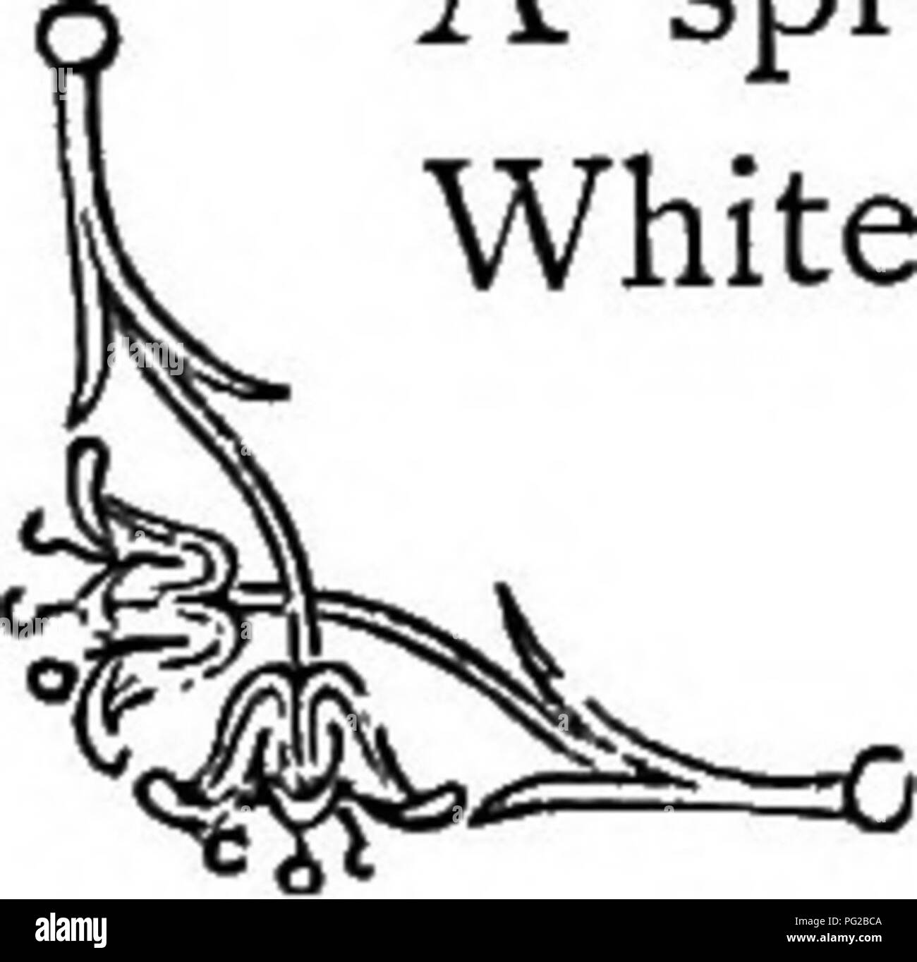 This work explores the Victorian language of flowers, detailing the ...