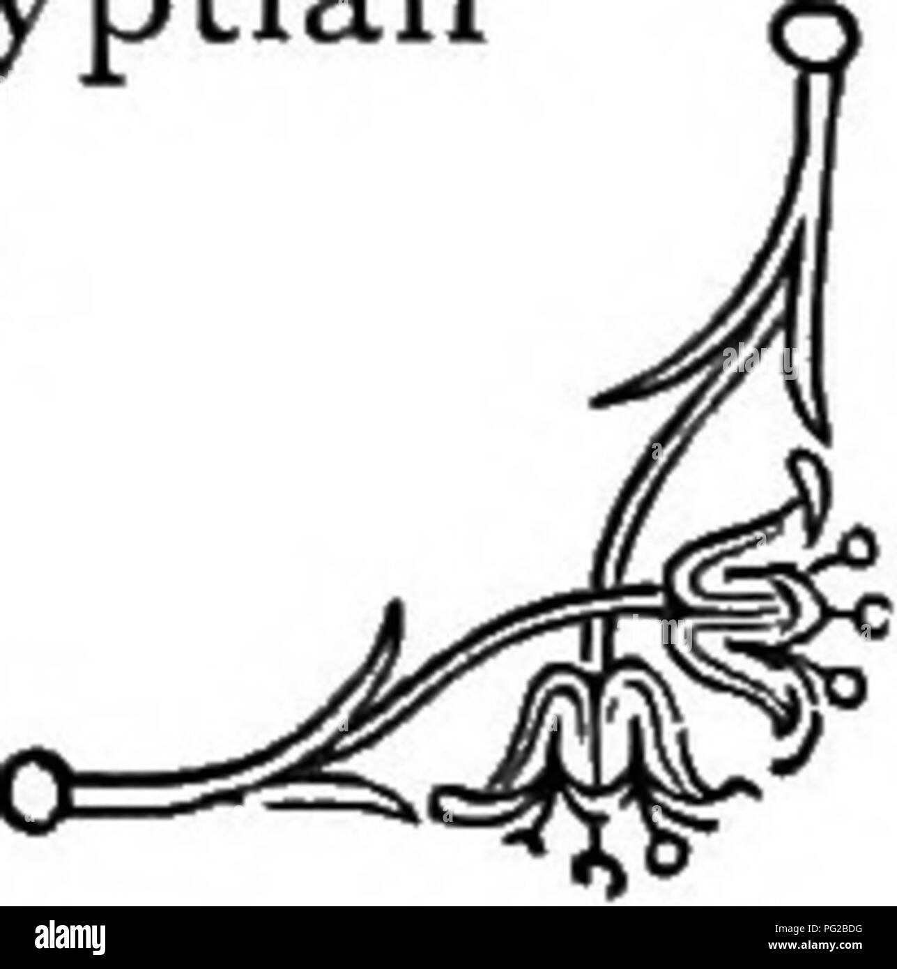 This work explores the symbolic meaning of flowers in literature and ...