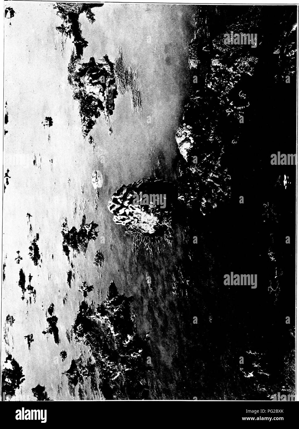 This report outlines the marine zoology of the Okhamandal region in ...