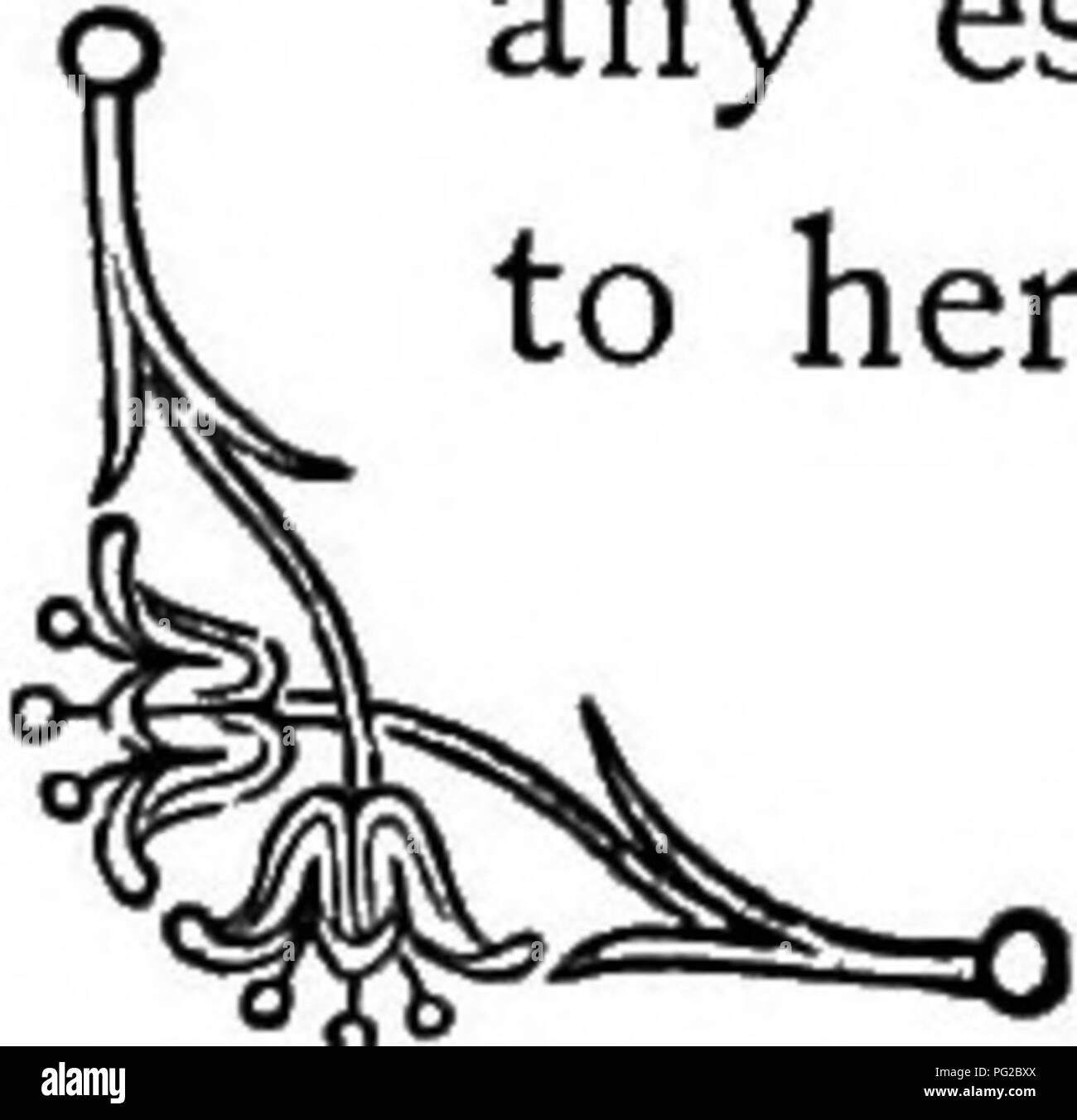 The Hyacinth (Hyacinthus orientalis) is associated with the myth of ...