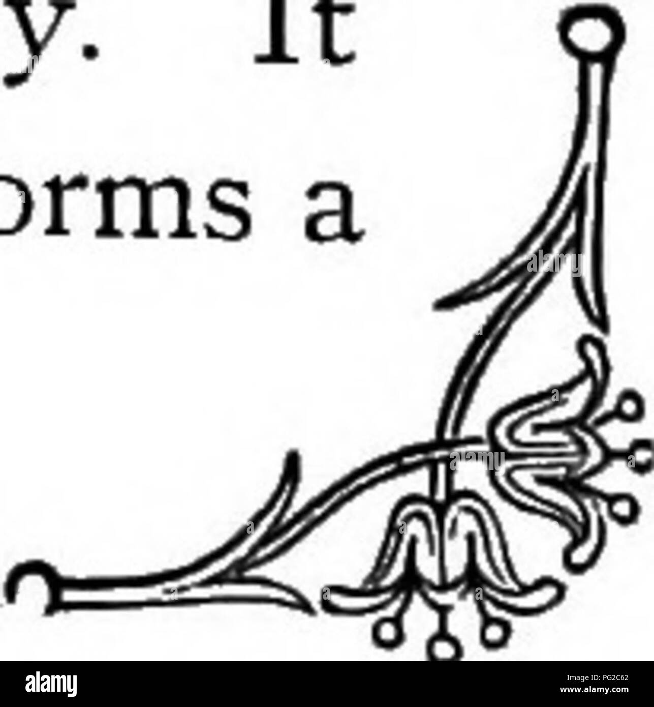 This book explores the symbolic meanings of flowers and their use as ...