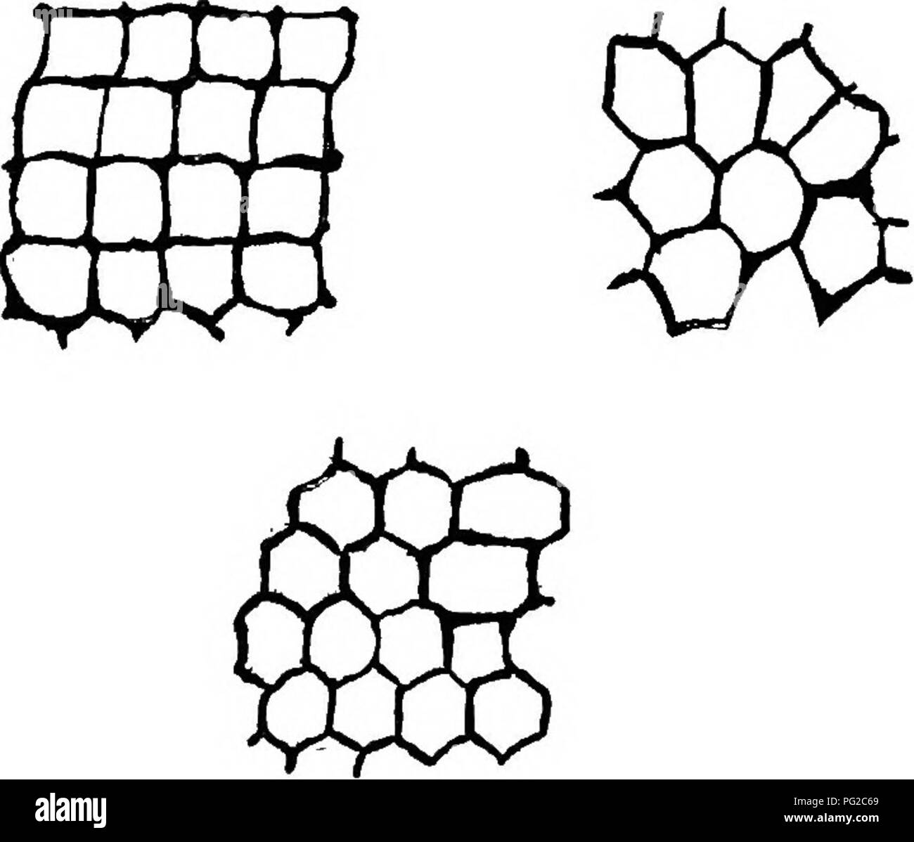 This guide to beekeeping offers practical advice on hive management ...