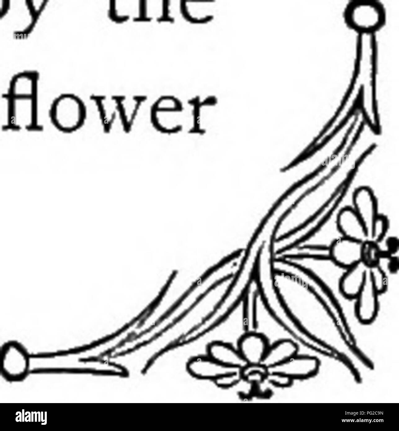 Victorian flower meaning hi-res stock photography and images - Alamy