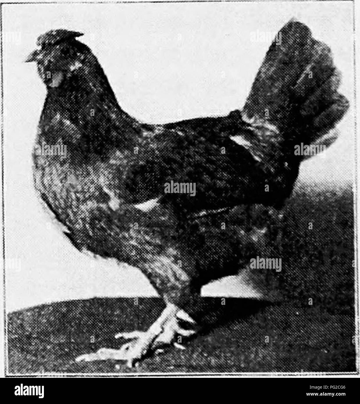 This book covers the principles of poultry culture, including the ...