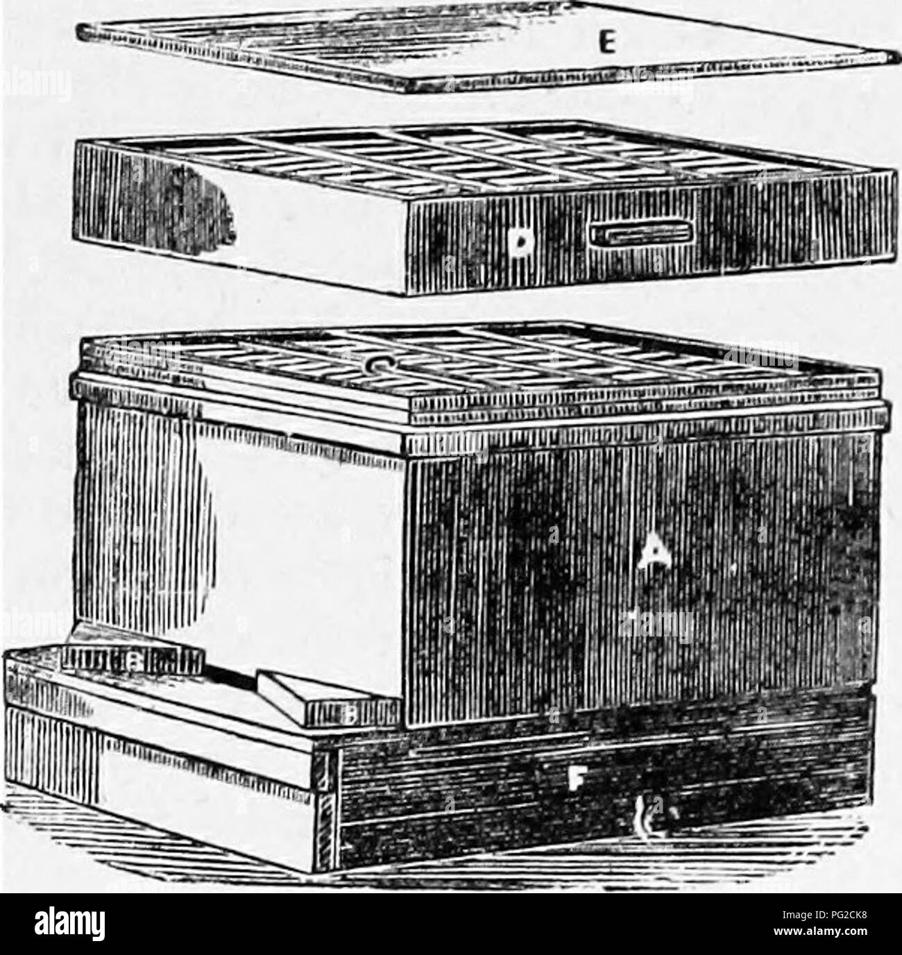 Langstroth frame Black and White Stock Photos & Images - Alamy