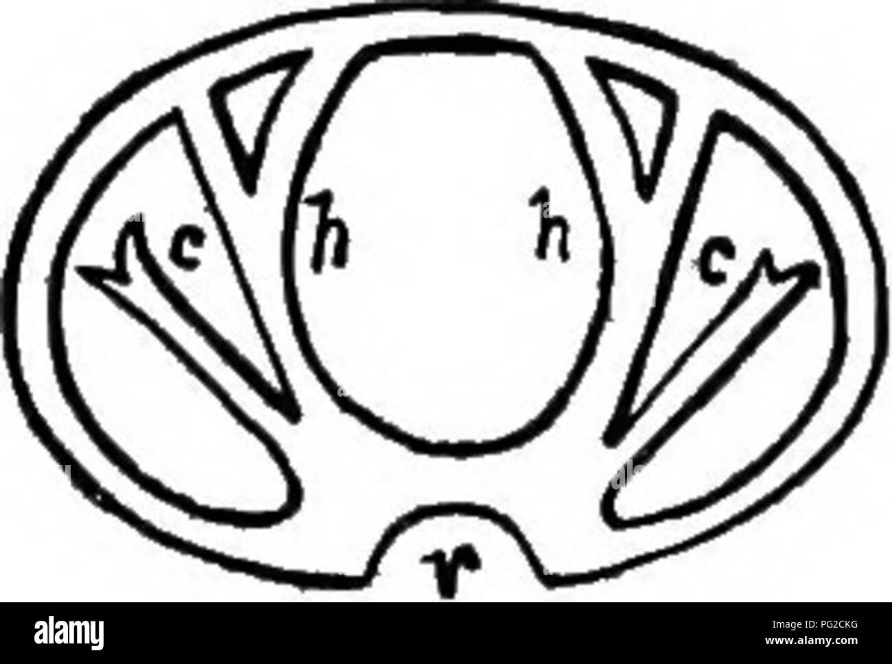 This manual is a comprehensive guide to beekeeping, detailing the ...