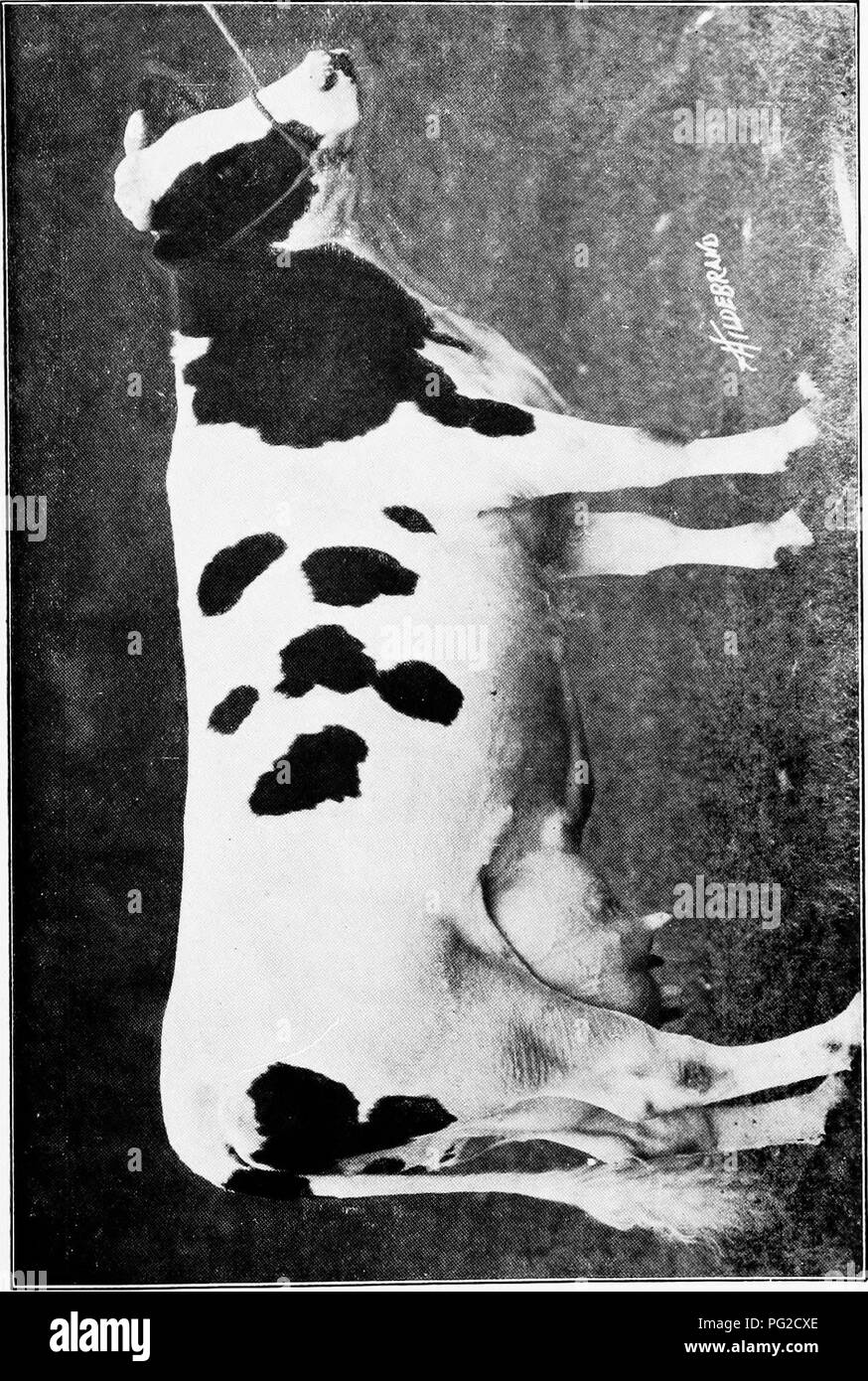 This image from 'Feeding Dairy Cattle' illustrates practices and ...