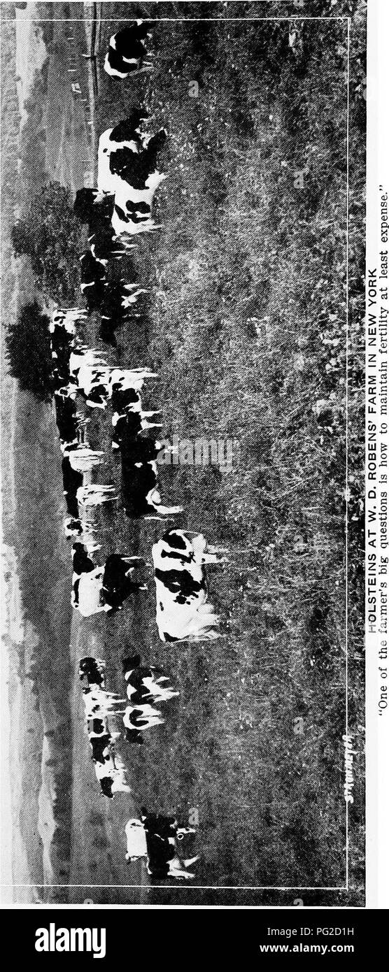 This guide provides detailed methods for feeding dairy cattle, covering ...