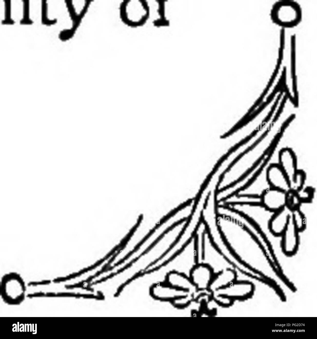 This book explores the symbolic meanings of flowers, focusing on the ...
