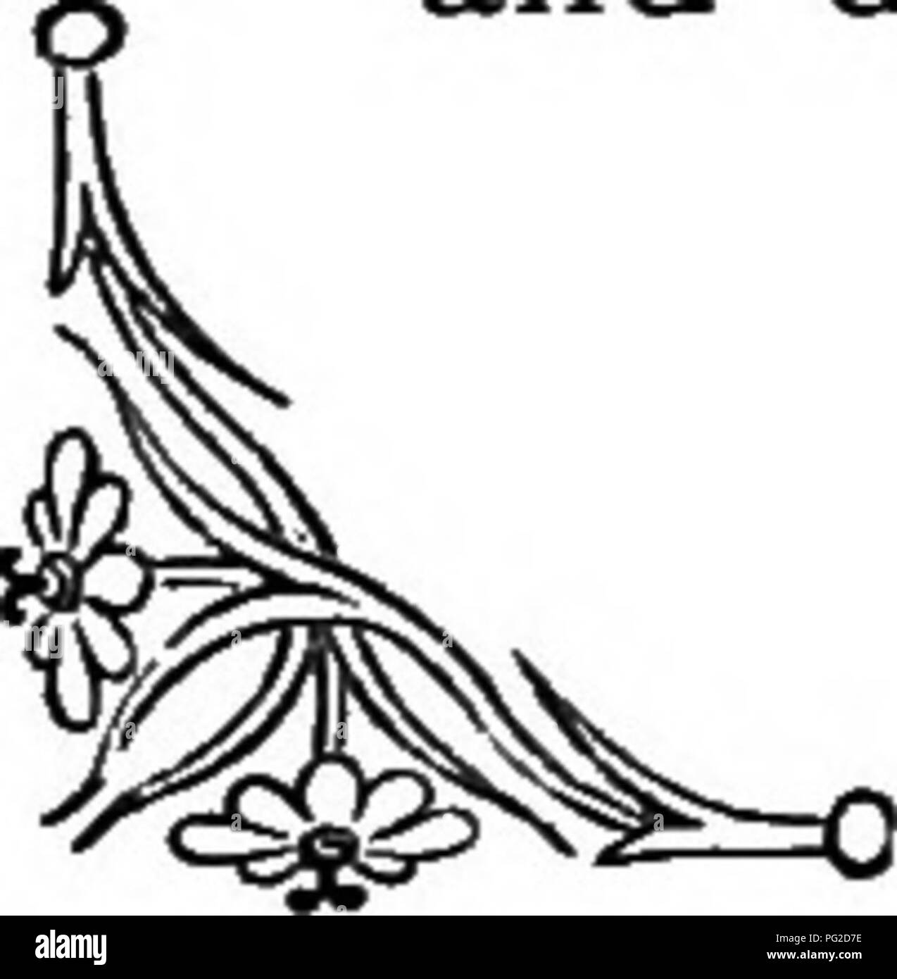 This work explores the symbolism of flowers and their meanings ...