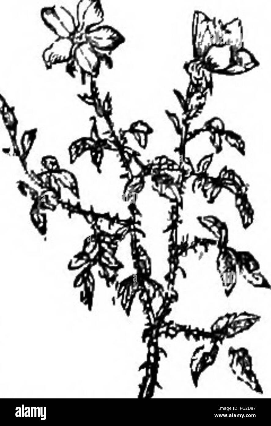 This book is a guide to hardy trees and shrubs in Britain, both native ...