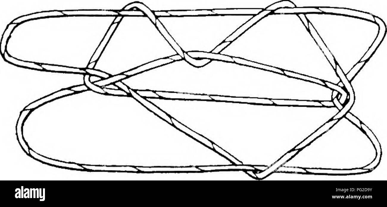 This report from the Canadian Arctic Expedition (1913-18) includes ...