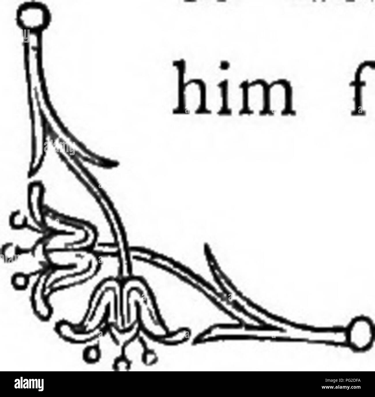 This book explores the symbolic meanings behind flowers and their ...