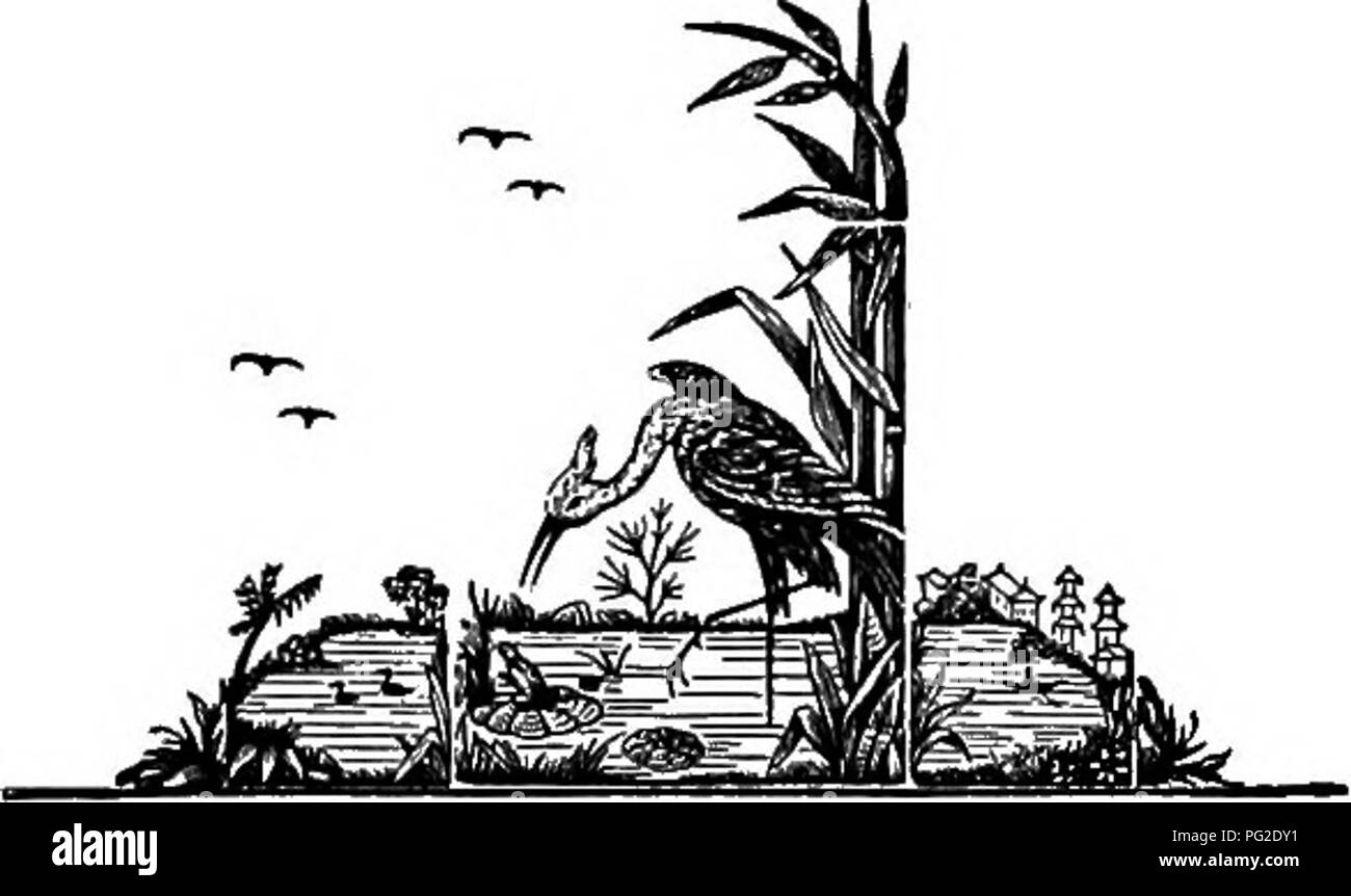 A text for poultry keepers detailing the best practices for managing ...