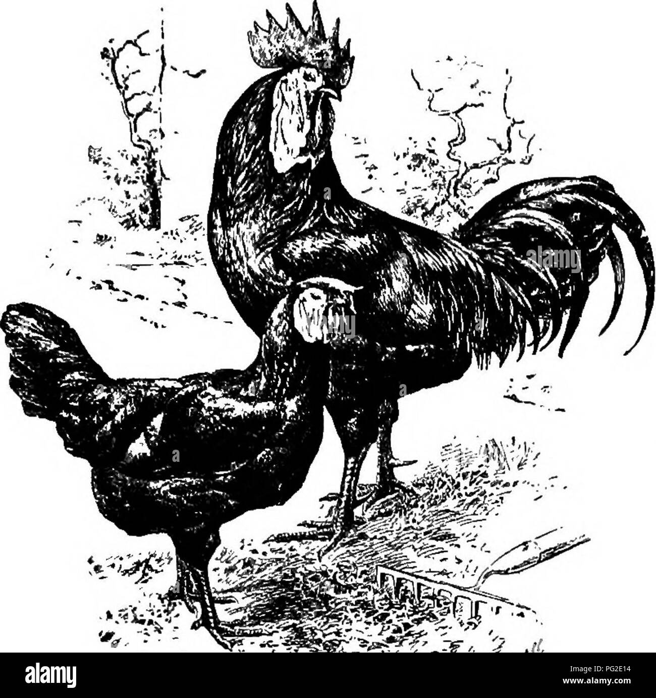 Po faced hi-res stock photography and images - Alamy