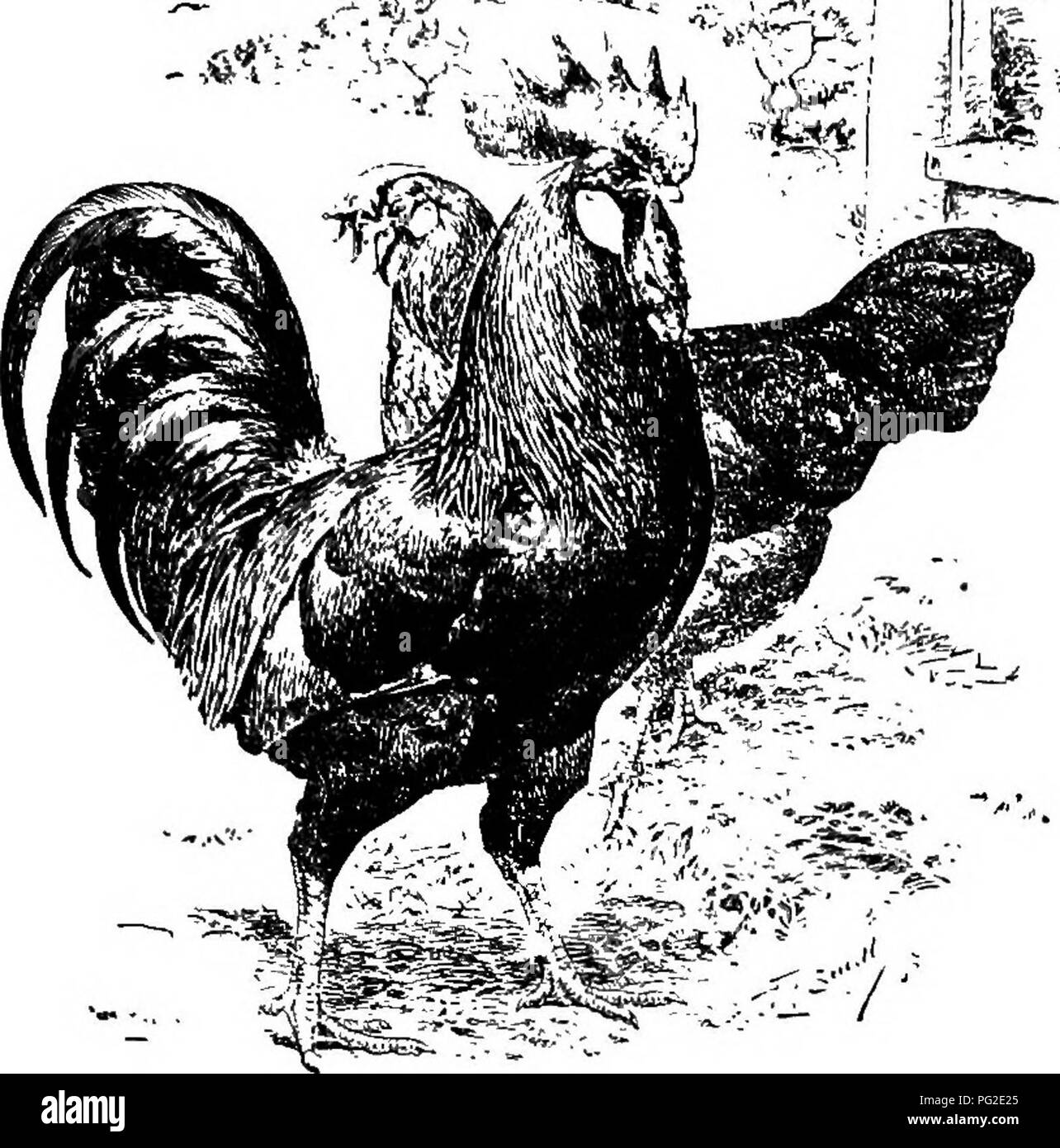 Finest produce Black and White Stock Photos & Images - Alamy