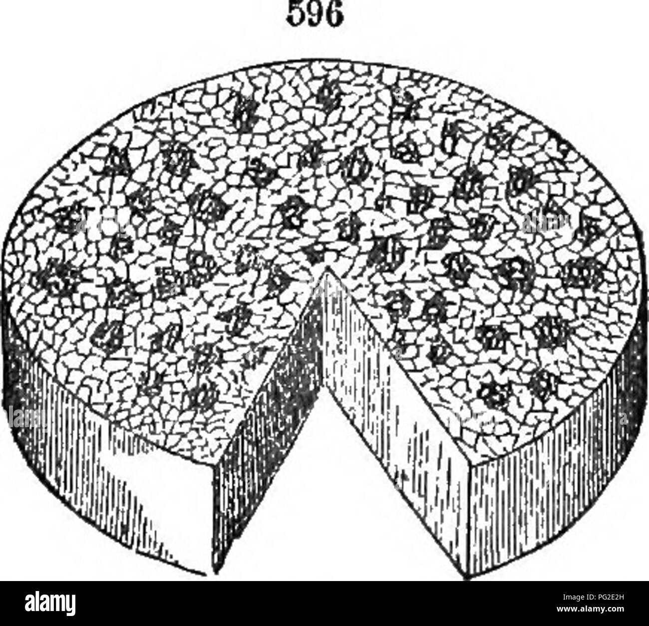 . Class-book of botany : being outlines of the structure, physiology ...