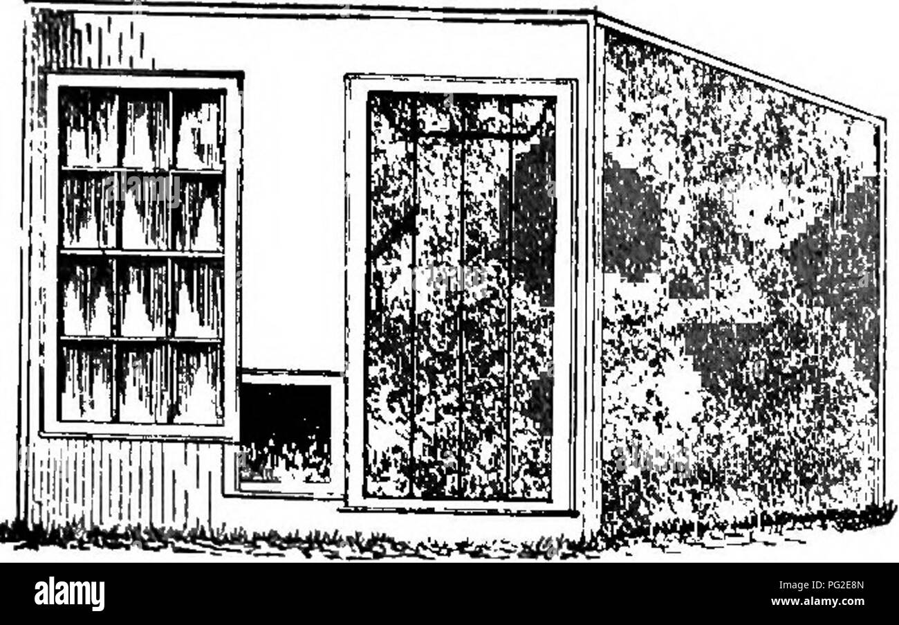 Brooder houses hi-res stock photography and images - Alamy