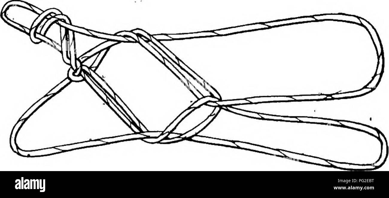 Ulnar loop hi-res stock photography and images - Alamy