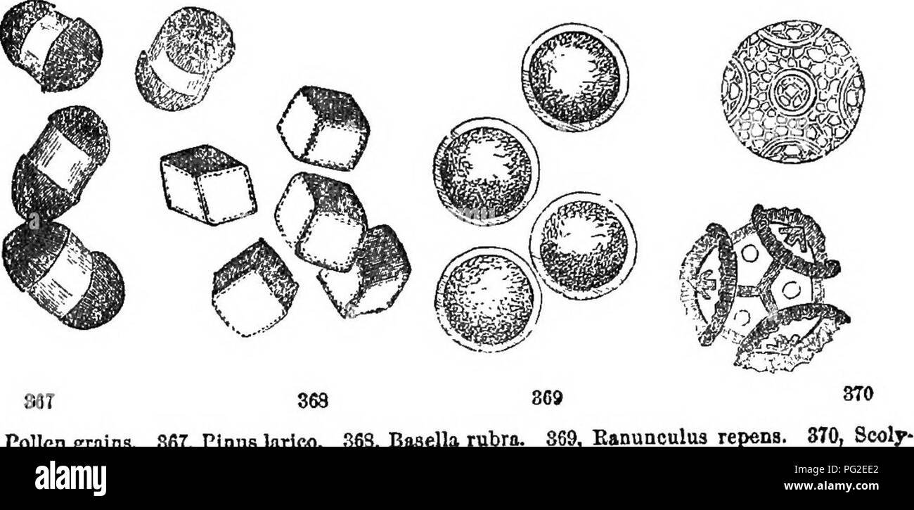 This book offers detailed outlines on plant structure, physiology, and ...