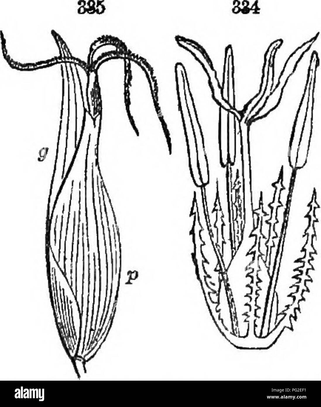 Class 489 hi-res stock photography and images - Alamy