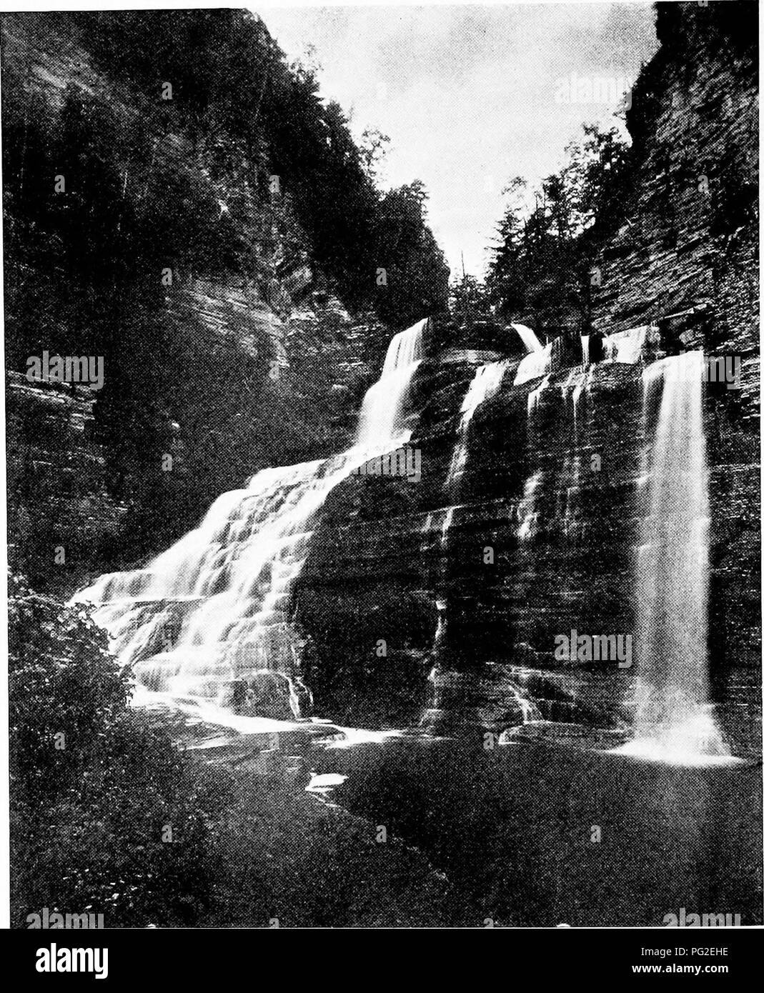 This proposal outlines the development of state parks in New York ...