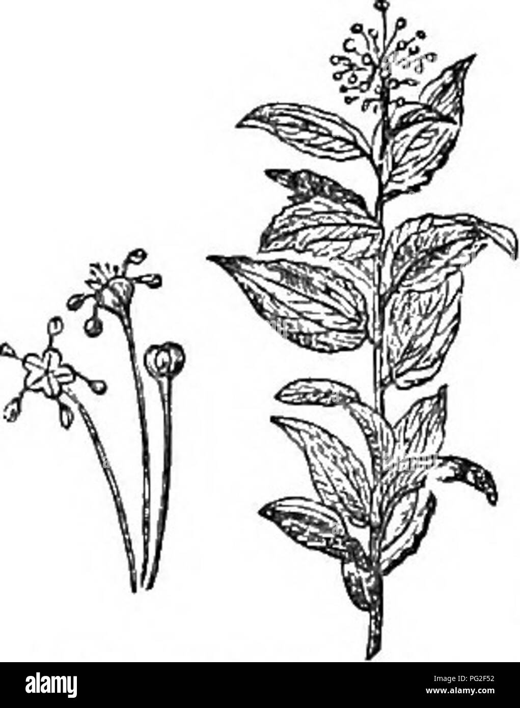 Rhani hi-res stock photography and images - Alamy