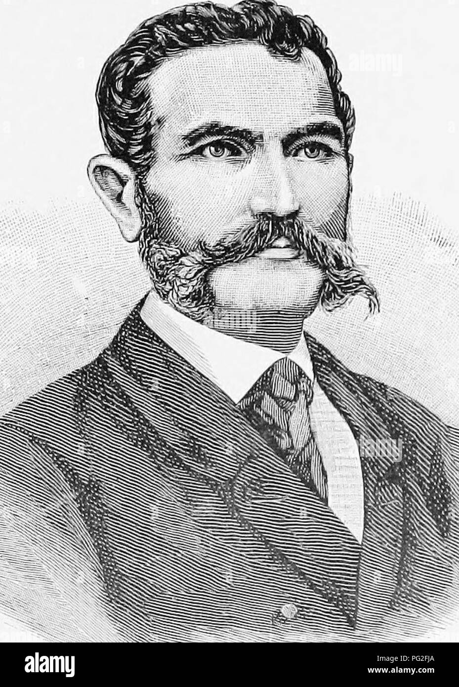 This work by Lorenzo Lorraine Langstroth focuses on beekeeping ...